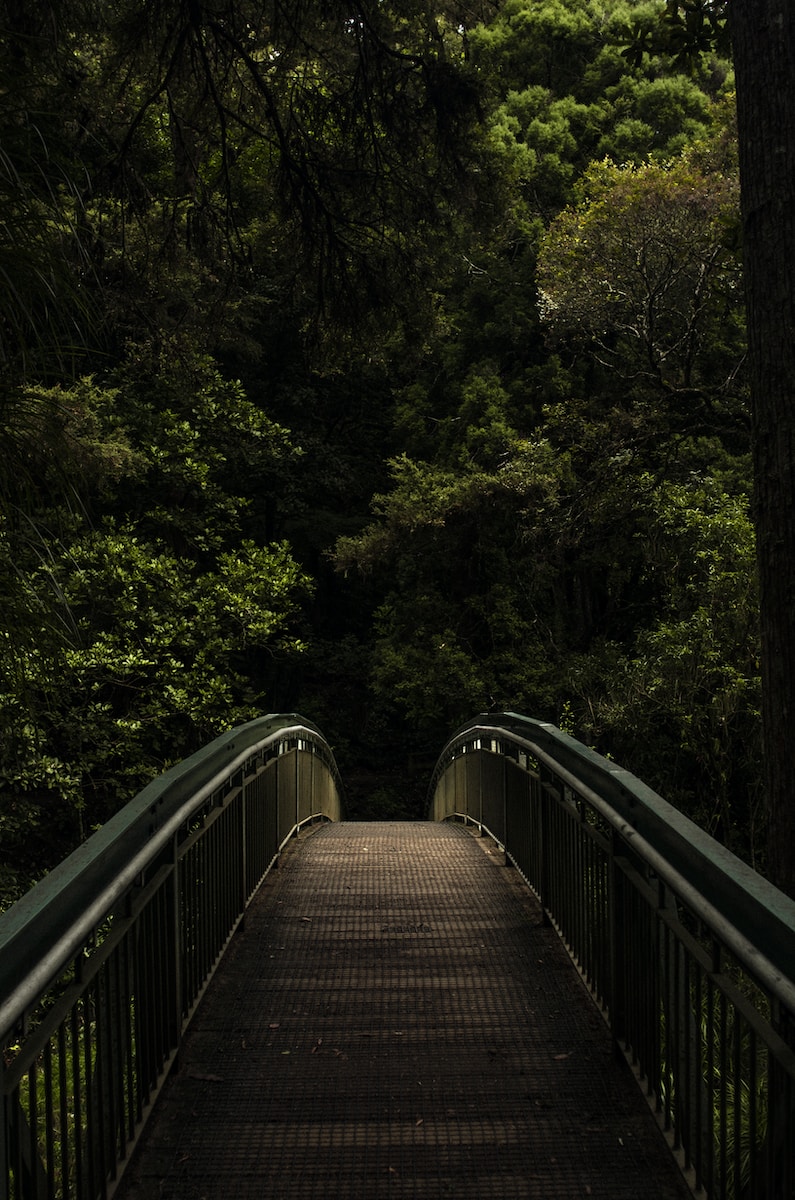 Bridge Of Dreams - Literary Heist